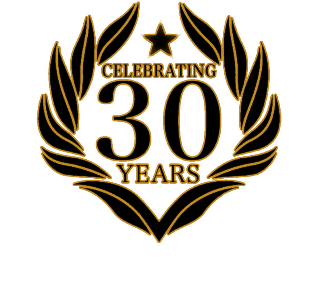 Vanguard: Security Consulting and Risk Management Services